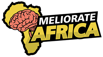 Meliorate Africa Helping Businesses Grow